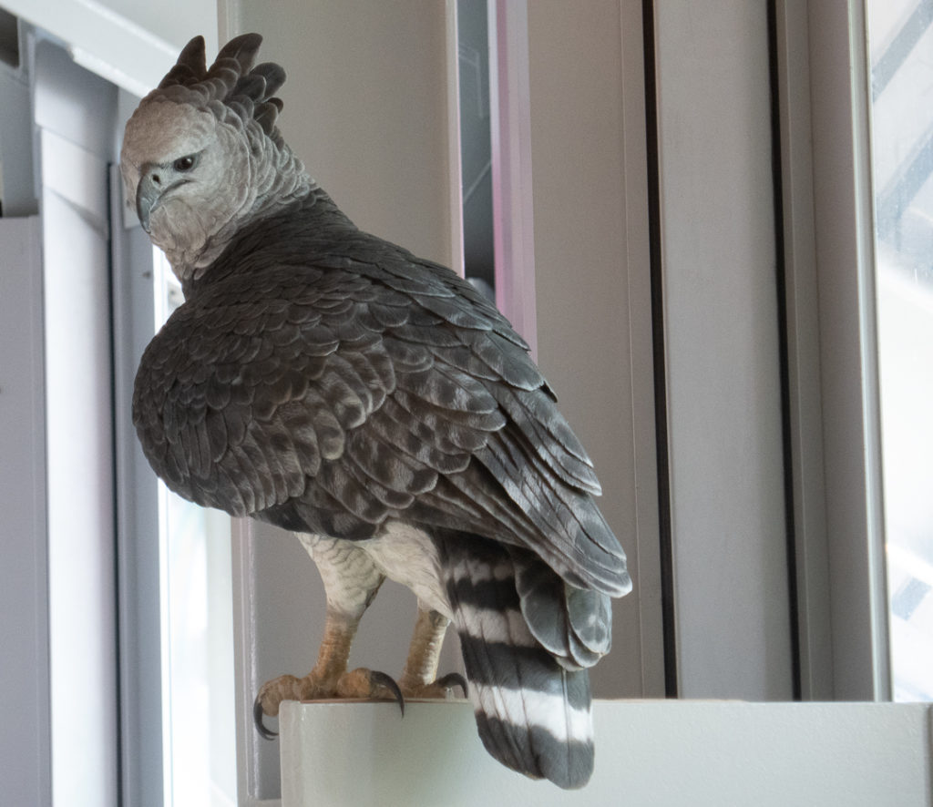 Touring Panama City – Read This Blog!