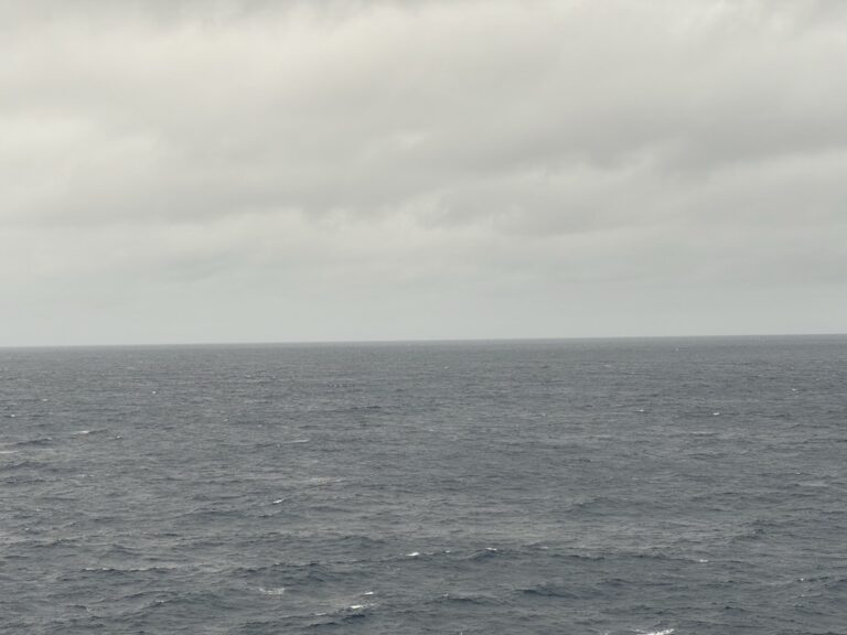 Tasman Sea - Day 1 - Read This Blog!